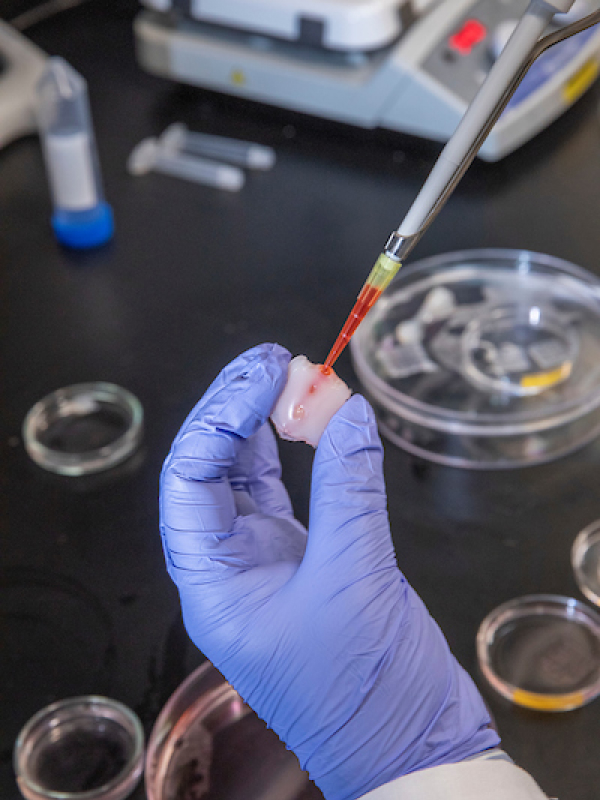 Bachelor's Degree in Ceramic Engineering – Materials Science and ...