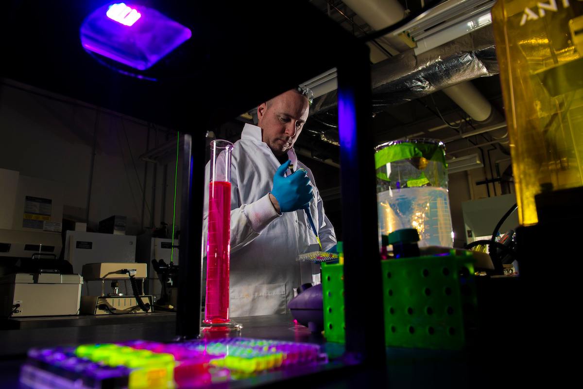 mse.mst.edu – Materials Science and Engineering | Missouri S&T